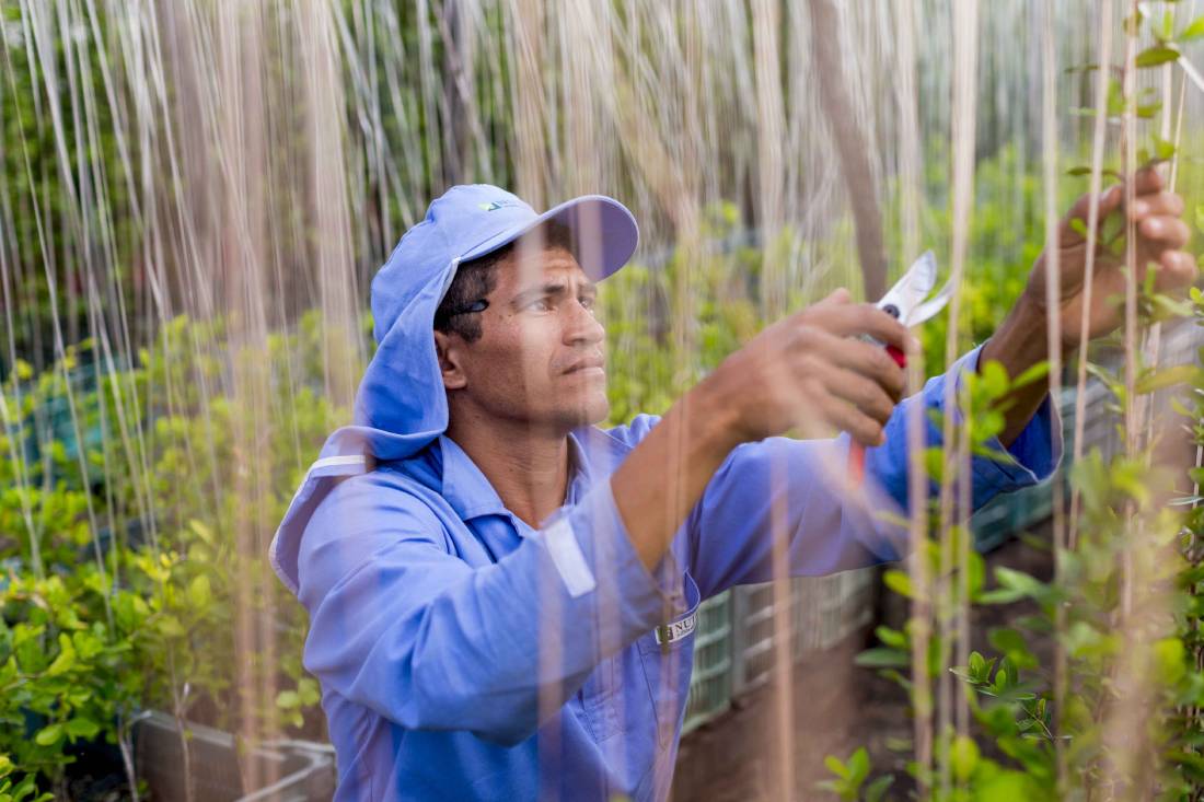 NUTRIPLANT AG PLANT GROWTH ENHANCER